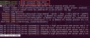 Linux服务器上启动、停止和重启Nginx命令 - 美国主机侦探