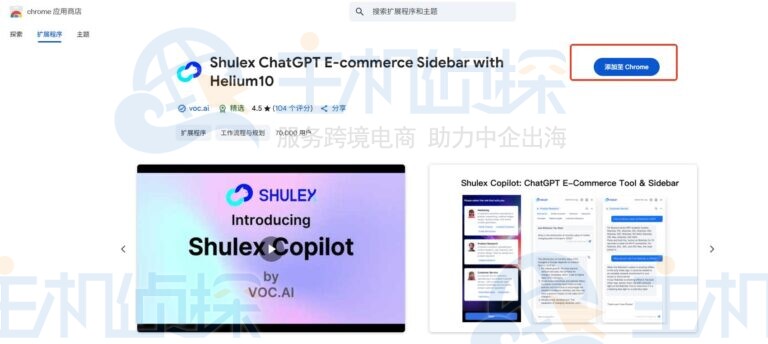 Shulex VOC亚马逊评论分析功能使用教程 - 美国主机侦探